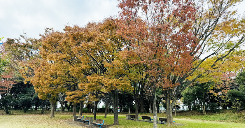 Bi-z Labo | 就労移行支援レクリエーション（2）～BBQ - 成年者向け施設ブログ | 障害者ドットコム